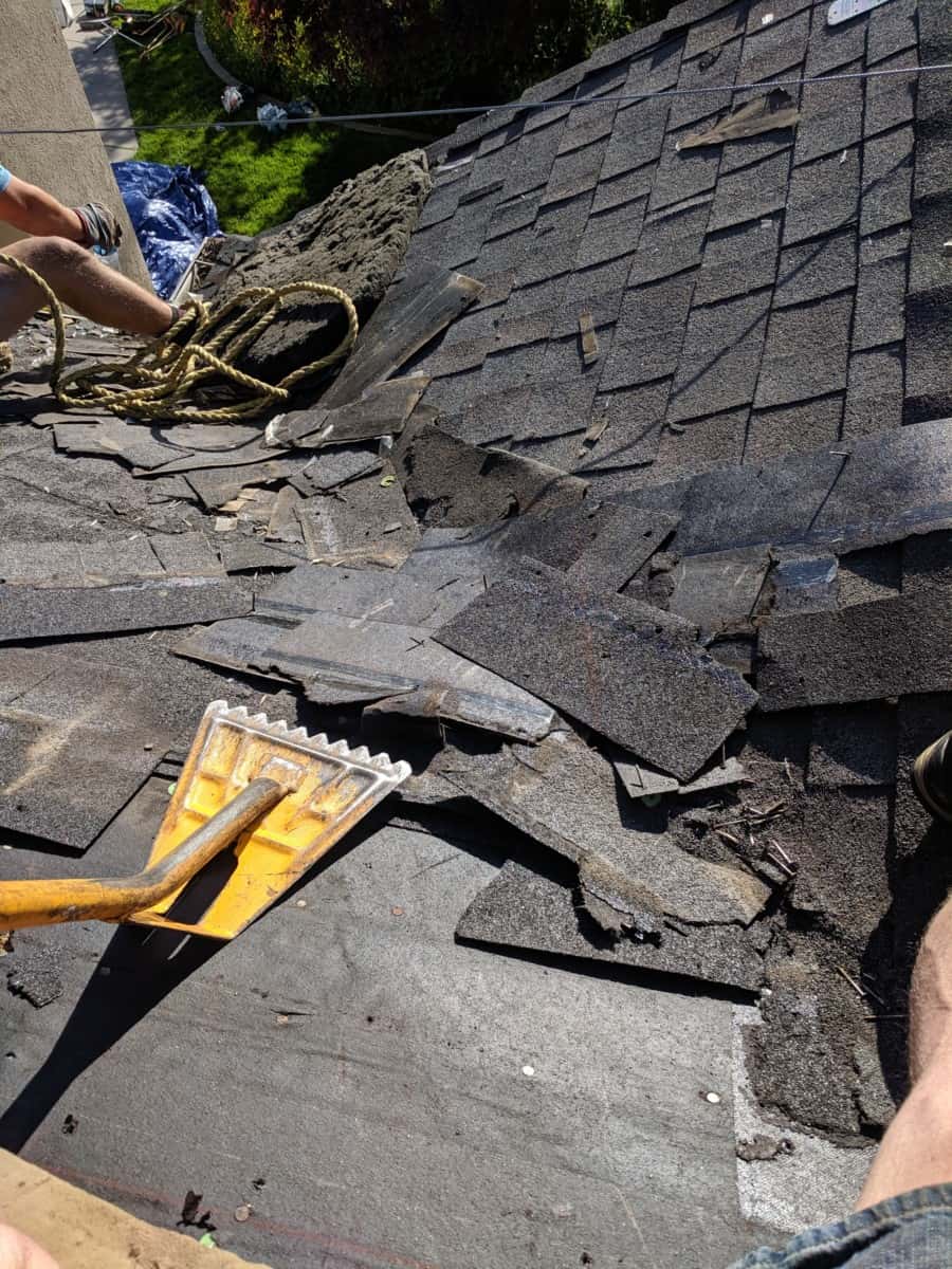 Top 15 Reasons Why Roofing Is Not A Good Job – Roof Hippie | Helpful ...